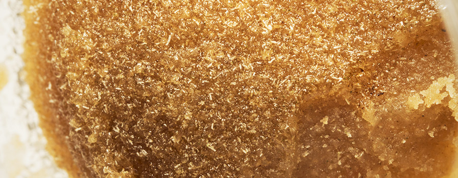 Jak Vyrobit Hašiš - Royal Queen Seeds - RQS Blog